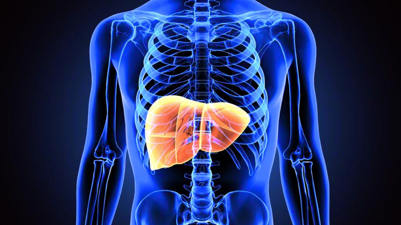 Understanding the Stages of Fatty Liver Disease and How to Identify ...